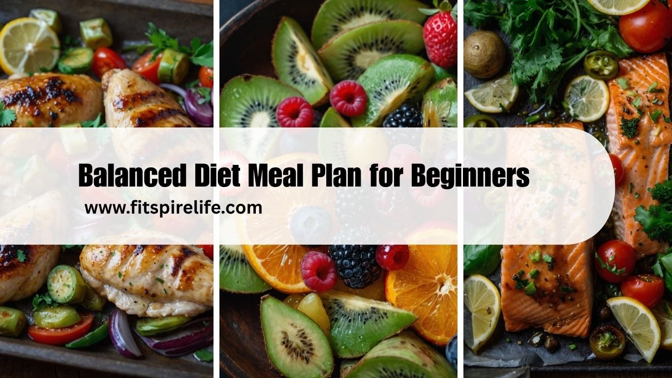 Balanced Diet Meal Plan For Beginners - Fits For Life